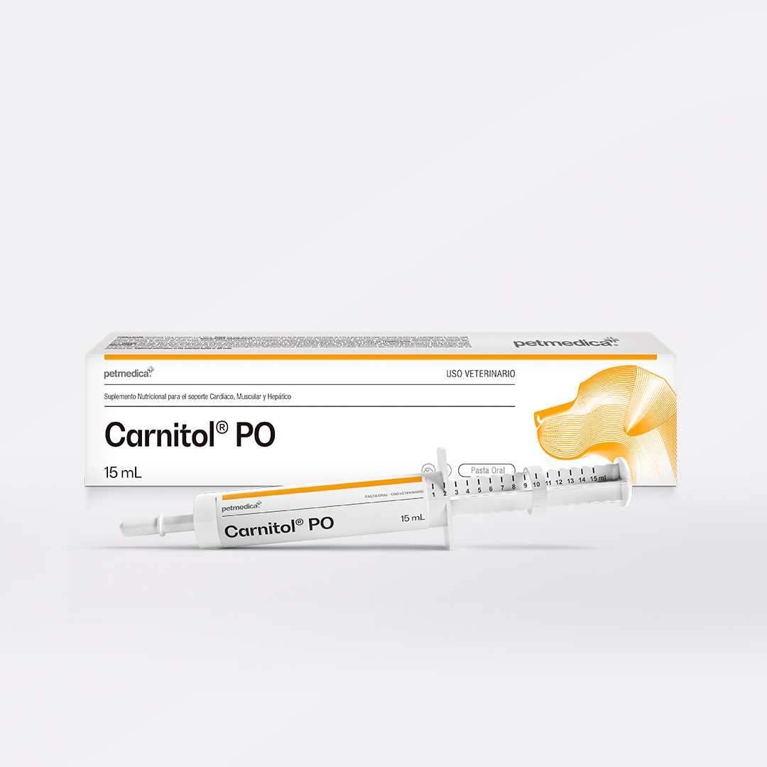 Carnitol® PO